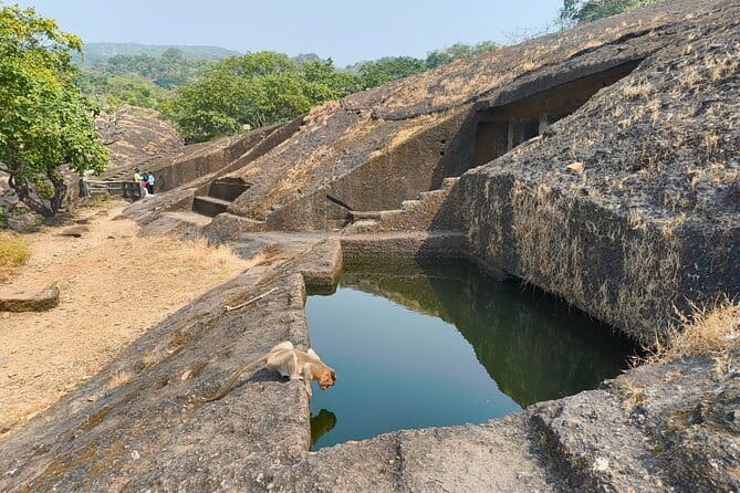 Explore The Kanheri Caves : The Ancient Buddhist Settlement - Guided Tour Experience: What Travelers Say