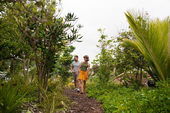 Explore the legacy of artist, ecologist, architect, visionary - The Sum Up