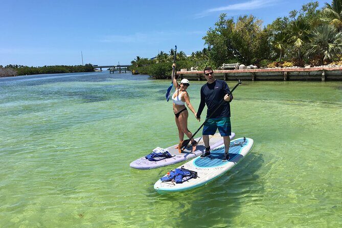 Explore the Mangrove Creeks with an ALL Day Tandem Kayak Rental - Key Points