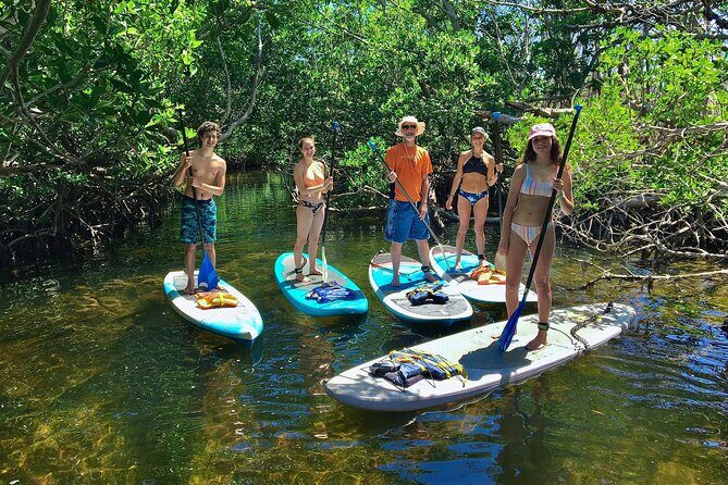 Explore the Mangrove Creeks with an ALL Day Tandem Kayak Rental - Practical Tips for Your Paddling Day