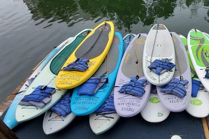 Explore the Mangrove Creeks with an ALL Day Tandem Kayak Rental - Authentic Experiences and Customer Feedback