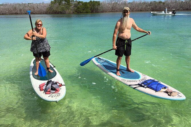 Explore the Mangrove Creeks with an ALL Day Tandem Kayak Rental - Who Should Consider This Tour?