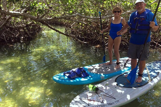 Explore the Mangrove Creeks with an ALL Day Tandem Kayak Rental - The Sum Up