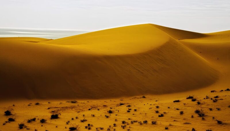 Explore the Mui Ne Sand Dunes at Sunset on a Day Trip - Who Is This Tour Best For?