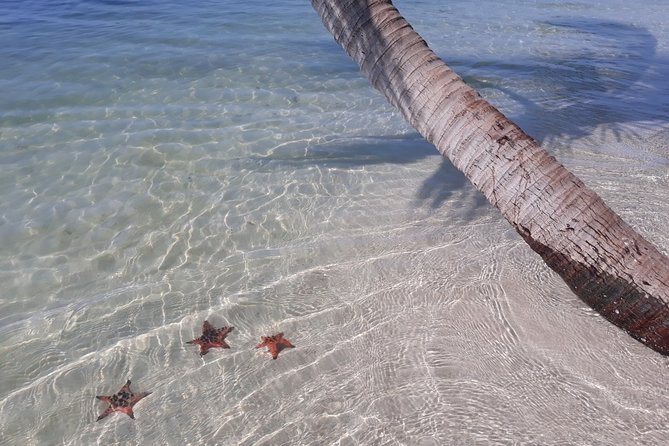 Explore the north of Phu Quoc island by Classical US Army Jeeps - Why This Tour Is a Great Choice