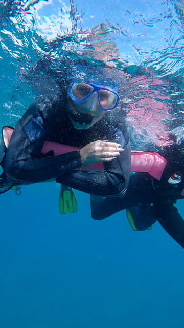 Explore the ocean - Snorkeling for Beginners Los Cristianos - The Experience’s Strengths