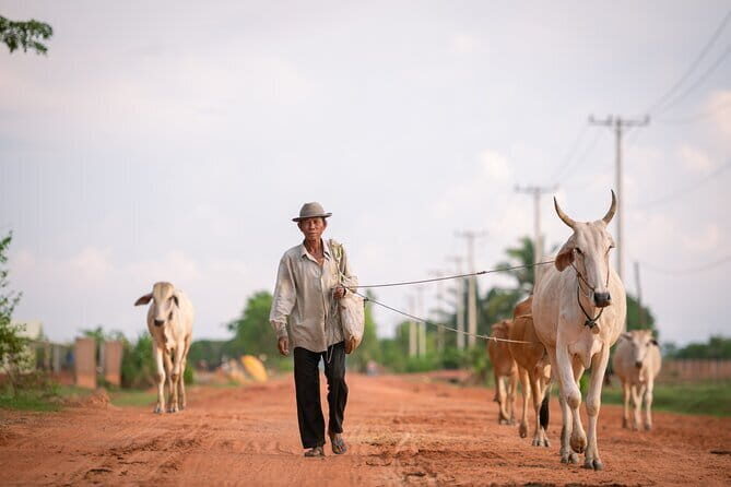 Explore the real Siem Reap Cambodia with a local guide - Key Points