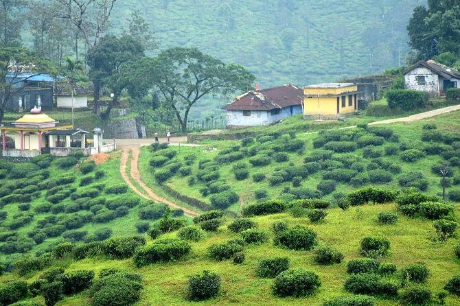Explore The Rustic Life Of Thekkady With Lunch - Key Points