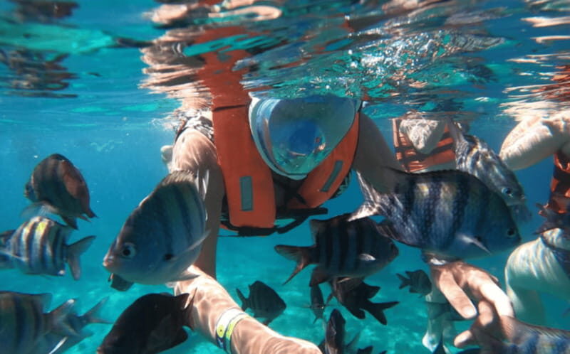 Explore the sea of cozumel in a transprent boat with drinks and snorkel. - Comparing with Other Options