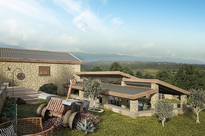 Explore the Secrets of Wine and Olives - Who Will Love This Tour?