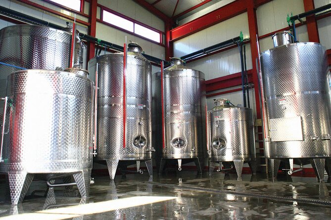 Explore the Secrets of Wine and Olives - FAQ