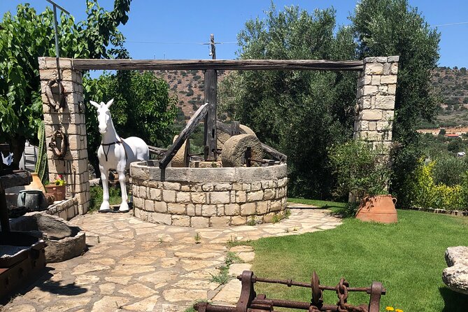 Explore the Secrets of Wine and Olives in Rethymno - A Closer Look at the Itinerary