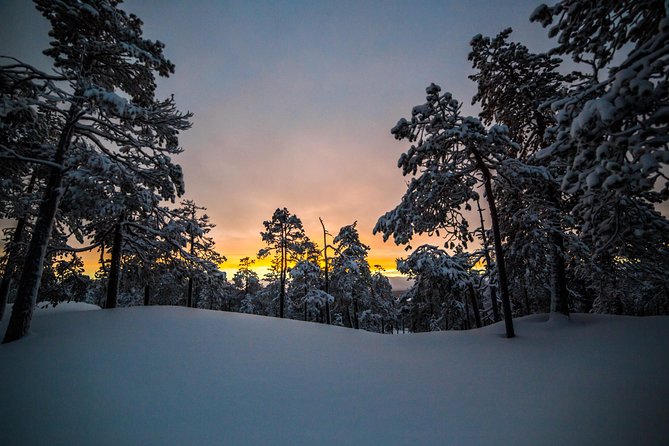 Explore the Wilderness - Essential Inclusions for a Memorable Tour