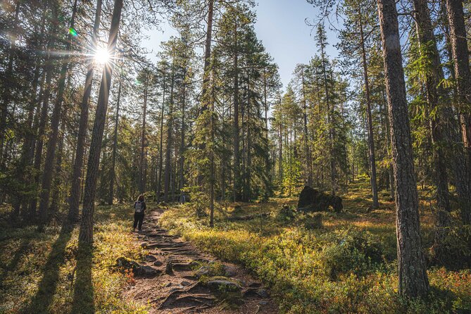 Explore the Wilderness (Summer & Autumn) - Embracing the Elements