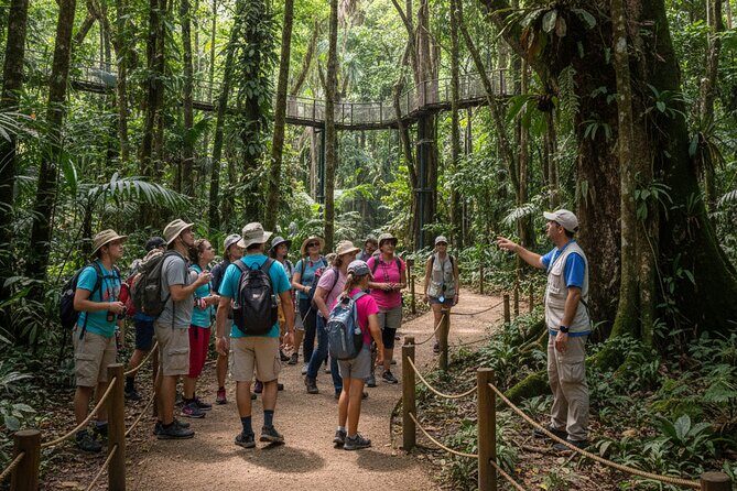 Explore the Wonders of New Caledonia from Noumea Cruise Terminal - Who Should Consider This Tour?