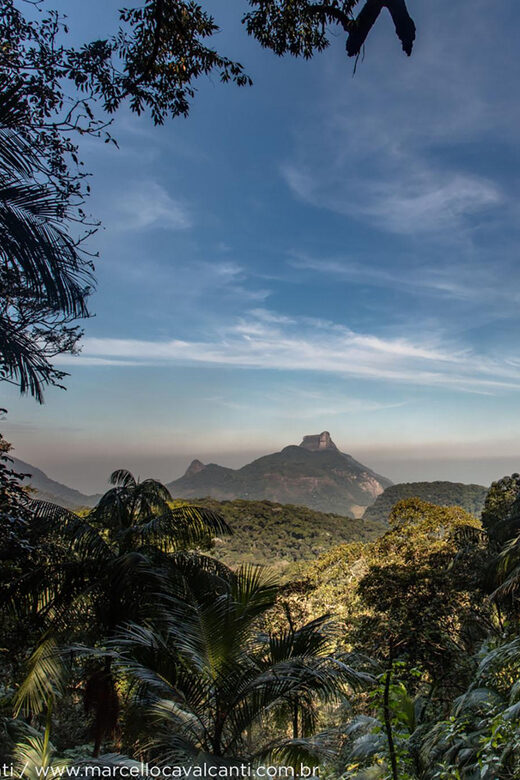 Explore Tijuca Forest: Mayrink Chapel and Taunay Waterfall. - The Highlights of the Tour