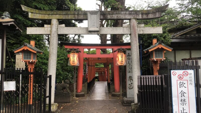 Explore Tokyo Your Way: 5h Private Customizable Walking Tour - Key Points