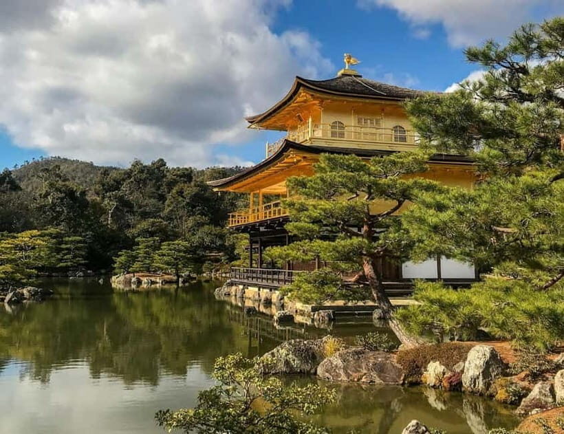 Explore Tokyos Top Sights & Cultural Gems on a Private Tour - Who This Tour Is Perfect For