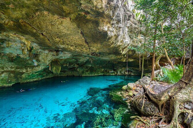 Explore Tulum Ruins and Cenote Jungle Adventure from Cancún - A Deep Dive into the Experience