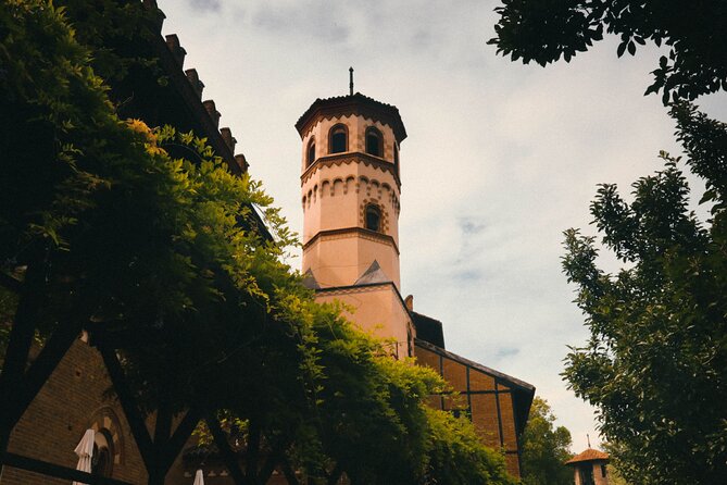 Explore Turin in 60 minutes with a Local - A Closer Look at the 60-Minute Tour Experience