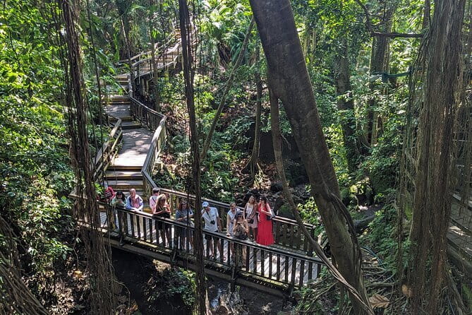 Explore Ubud Art Market, Monkey Forest and Rice Terraces - Who Should Consider This Tour?