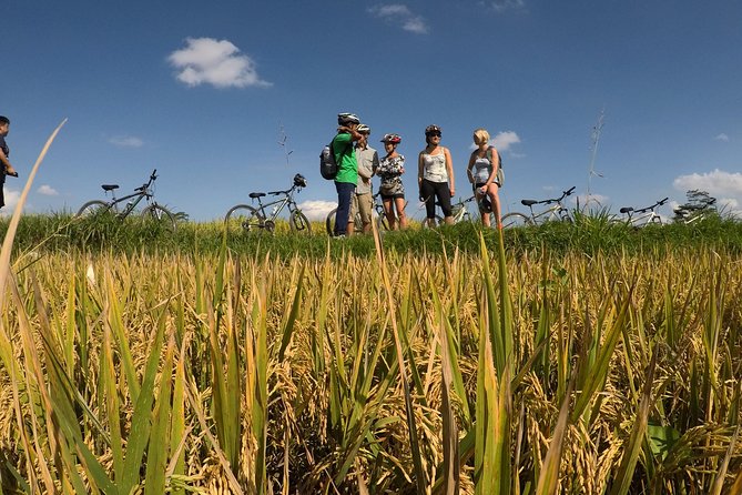 Explore Ubud with Electric Bike - What to Expect During the Ride