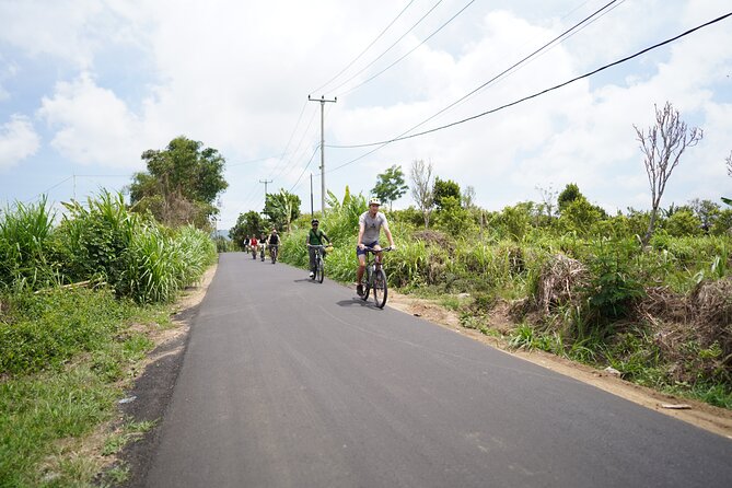 Explore Ubud with Electric Bike - The Sum Up: Is This Tour Worth It?