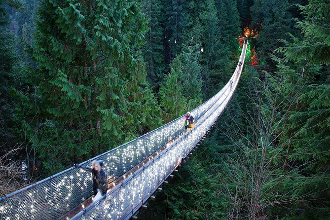 Explore Vancouver City & Capilano Suspension Bridge Canyon Lights - The Value of Guided Convenience