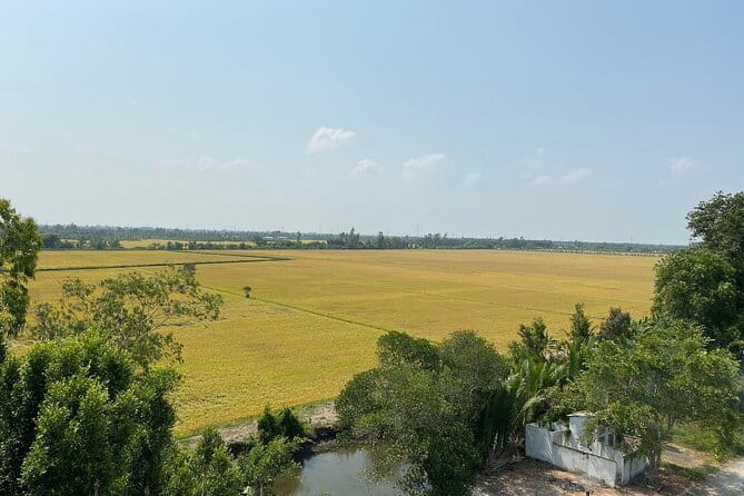 Explore Wetlands and Nature Reserve from Can Tho - Practical Considerations