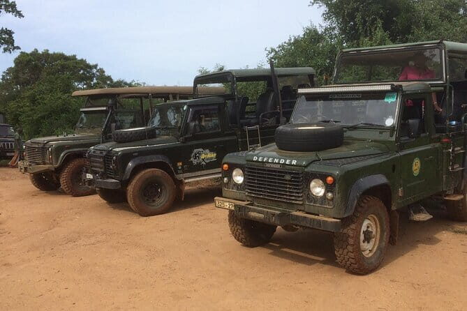 Explore Wild Wonders of Yala - The Experience in Detail