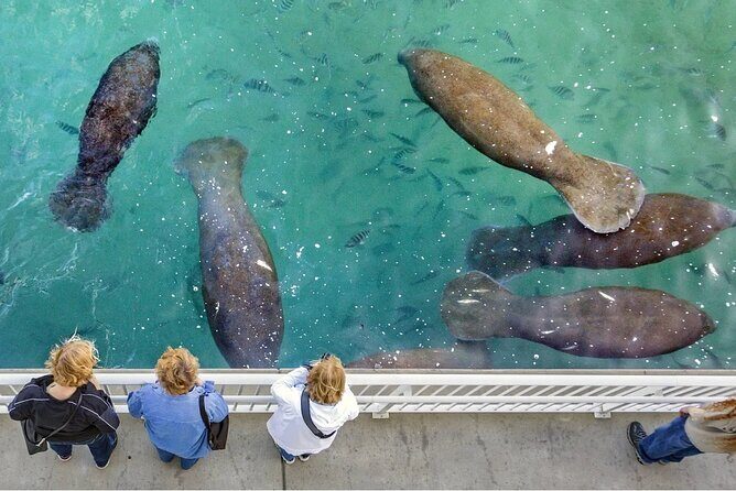 Explore Wildlife Sanctuaries on the WILD Palm Beaches Tour - Frequently Asked Questions