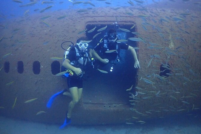 Explore World's Largest Plane Wreck by Scuba Diving in Kusadasi - Key Points