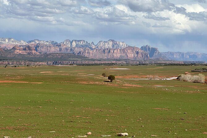 Explore Zion National Park & Beyond on a Private Jeep Adventure - The Sum Up