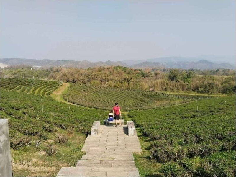 Explorer Border road and Nature ( Tea and Coffee ) - Frequently Asked Questions