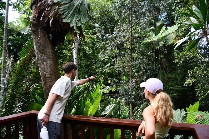 Explorer Tour by Cairns Waterfalls - Walshs Pyramid and Welshs Pyramid