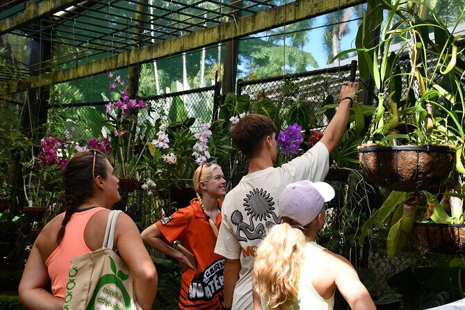 Explorer Tour by Cairns Waterfalls - Authentic Feedback from Past Travelers