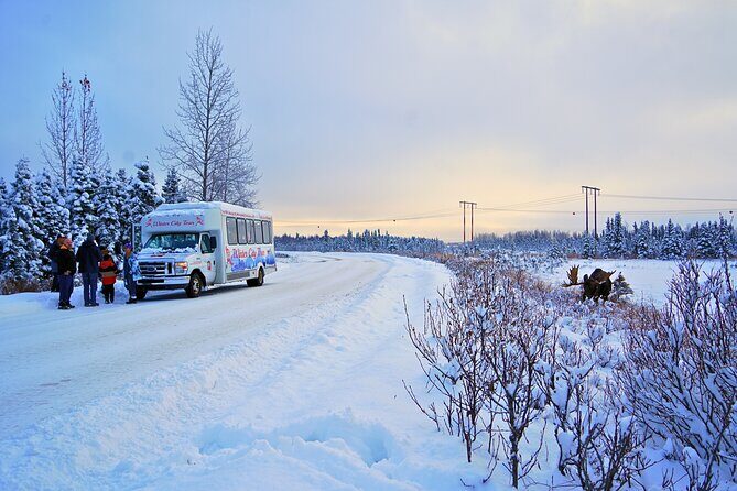 Exploring Anchorage on Winter Sundays - Starting Point: Log Cabin Visitor Center