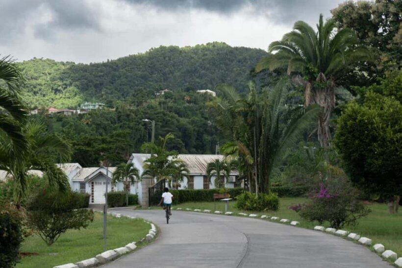 Exploring and Tasting Roseau | Full-Day Tour - Authentic Experience in a Nutshell