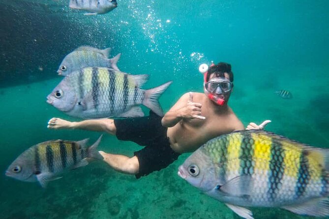 Exploring Angra Dos Reis and Ilha Grande in One Day - Activities and Highlights