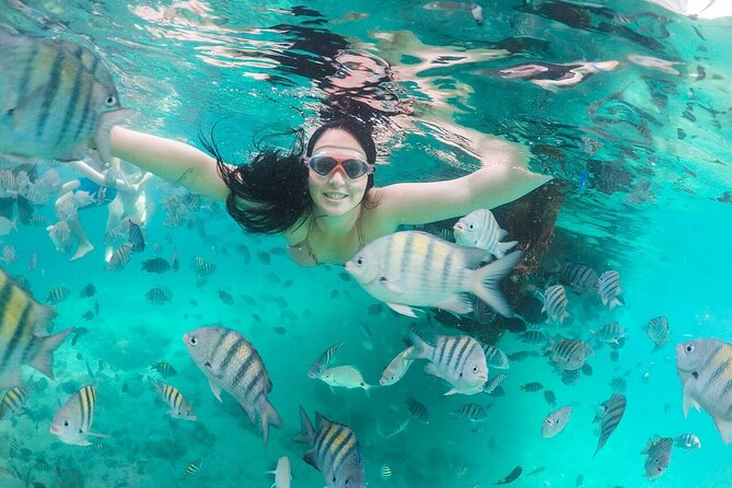 Exploring Angra Dos Reis and Ilha Grande in One Day - Meeting and Pickup Details