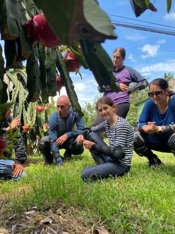 Exploring Dalat 3 majestic waterfalls by Easy rider - The Sum Up