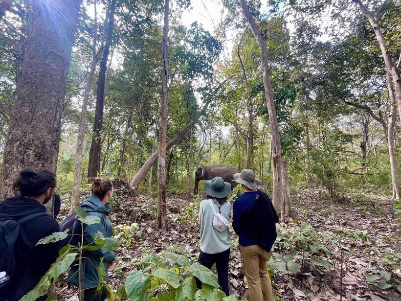 Exploring Don Village & Yok Don National Park - Key Points