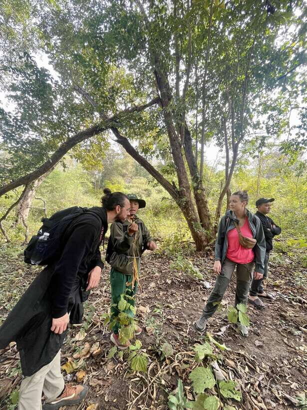 Exploring Don Village & Yok Don National Park - A Close Look at the Tour