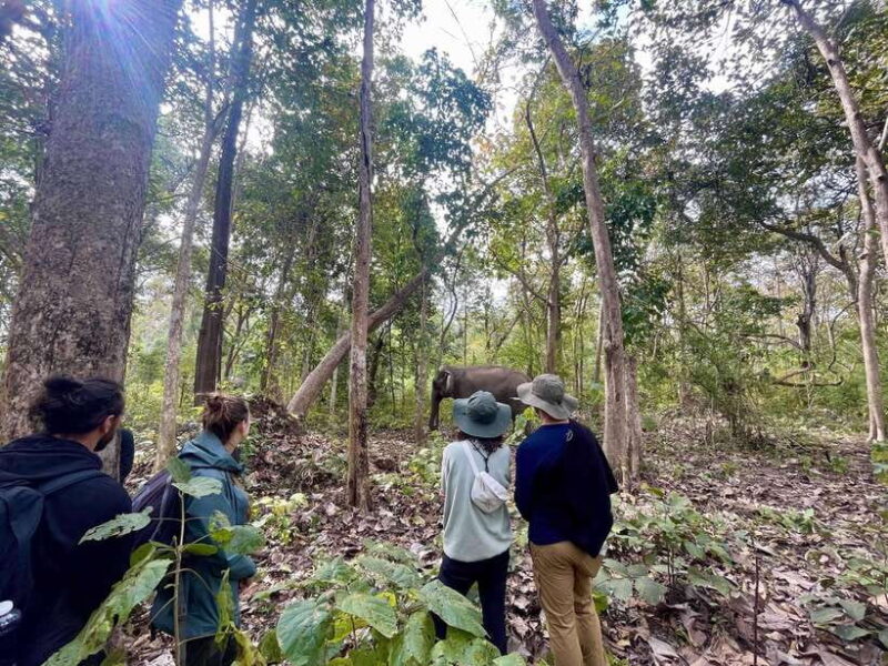 Exploring Don Village & Yok Don National Park - Final Thoughts