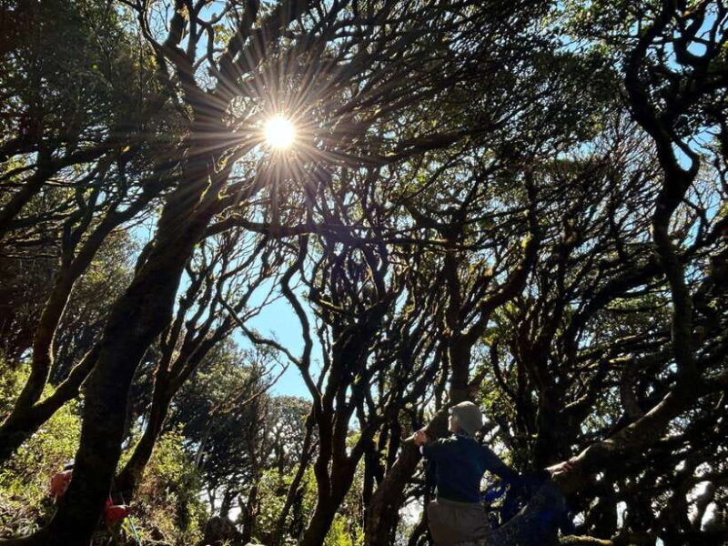 Exploring Ky Quan San: A Trekker's Paradise - Key Points