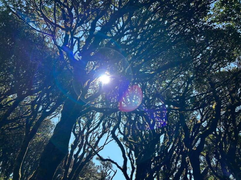 Exploring Ky Quan San: A Trekker's Paradise - Conquering Bách Mộc Lương T