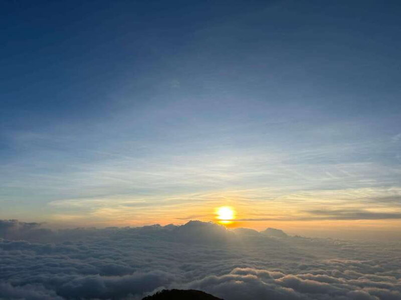 Exploring Ky Quan San: A Trekker's Paradise - Wild Rhododendrons and Seasonal Colors