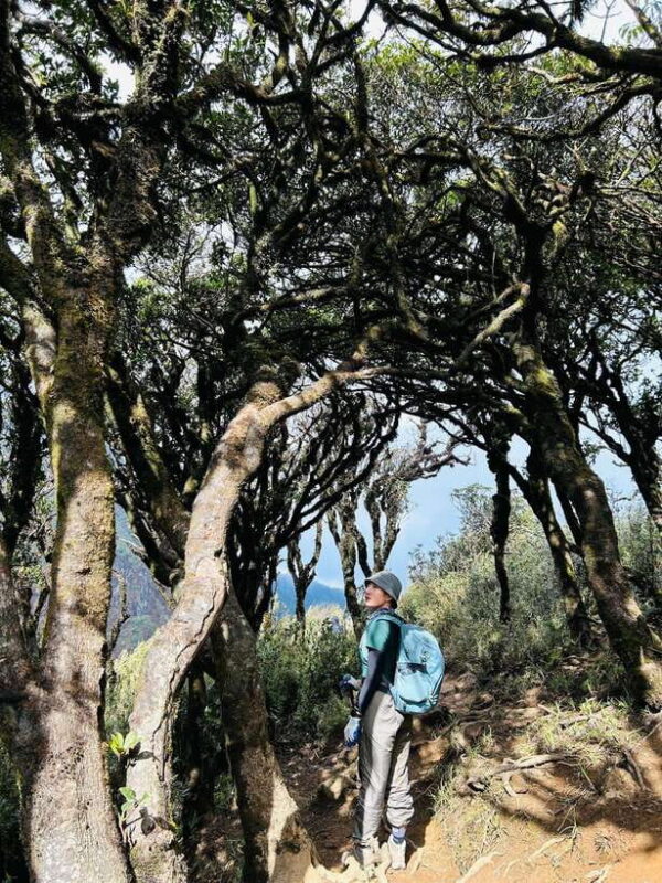 Exploring Ky Quan San: A Trekker's Paradise - Logistics and Timing