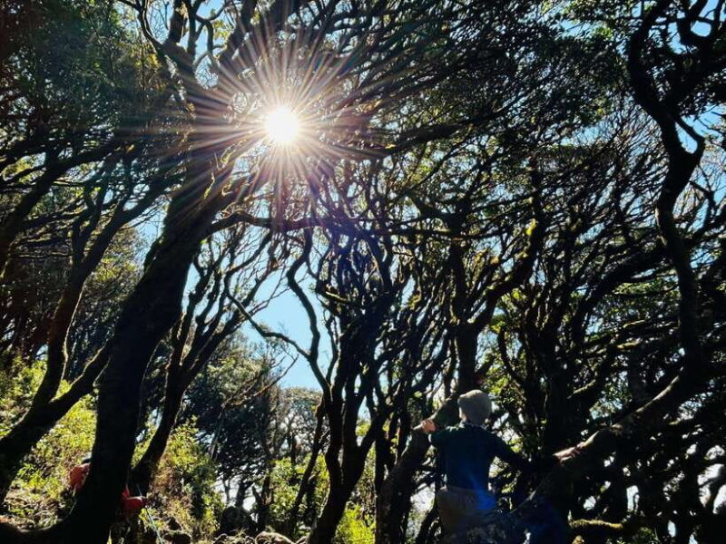 Exploring Ky Quan San: A Trekker's Paradise - Overall Value and Who Will Love This