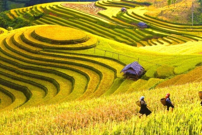 Exploring Mai Chau full day group tour - Transportation and Practical Details